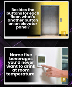 Music Video Digital Signage Sound System For Your TV Screens